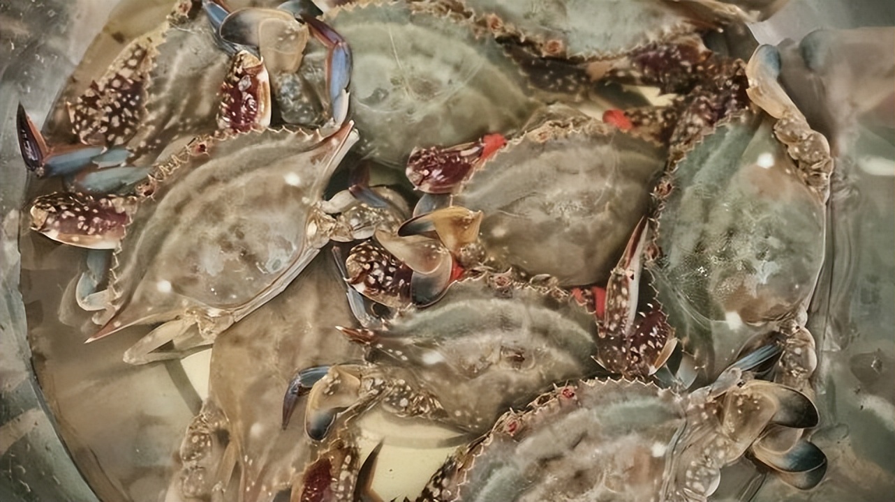When buying crabs, the bigger the better, the old fishermen teach you 3 ...