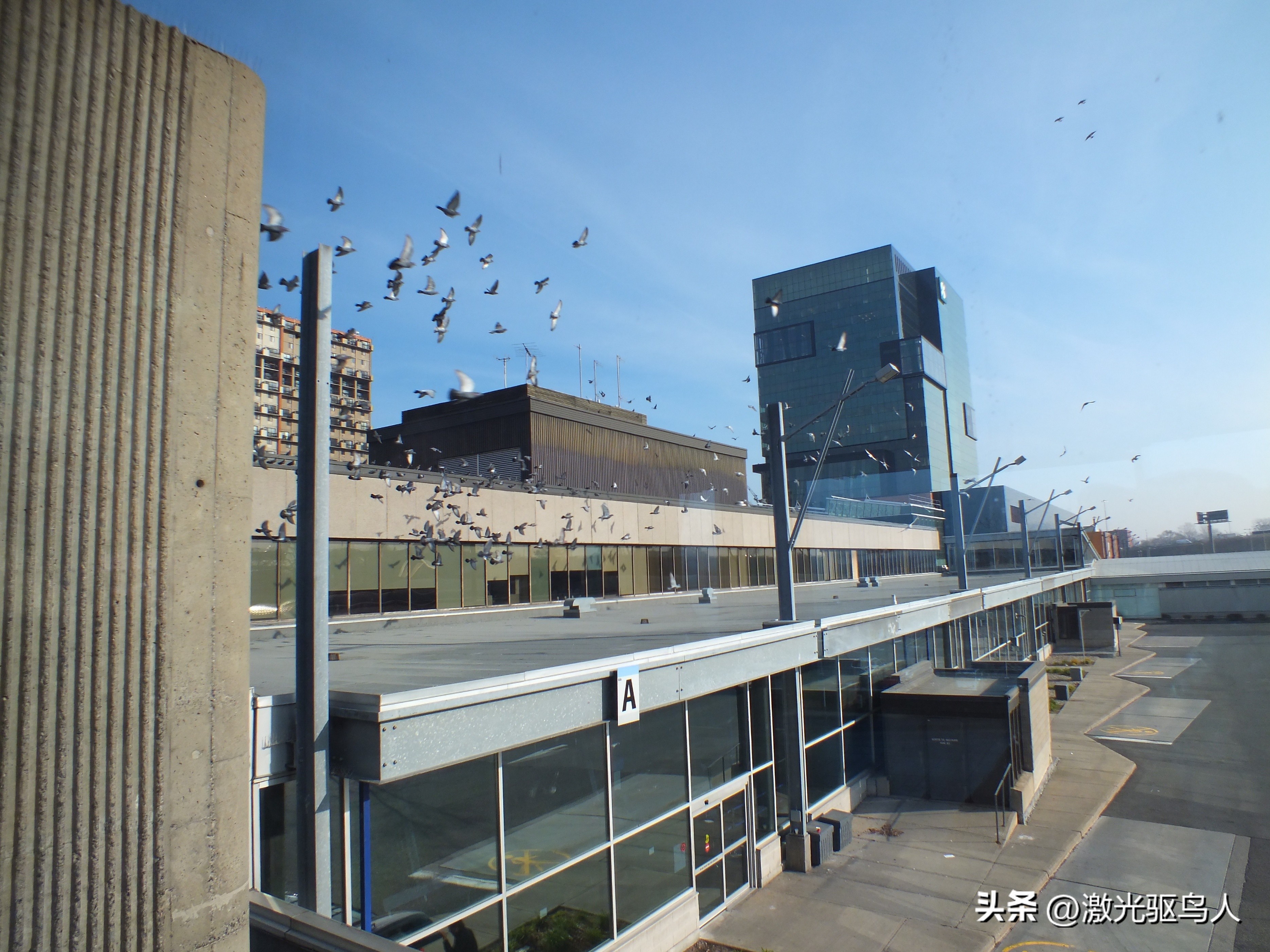 Potential dangers of buildings in commercial areas, birds from nature ...