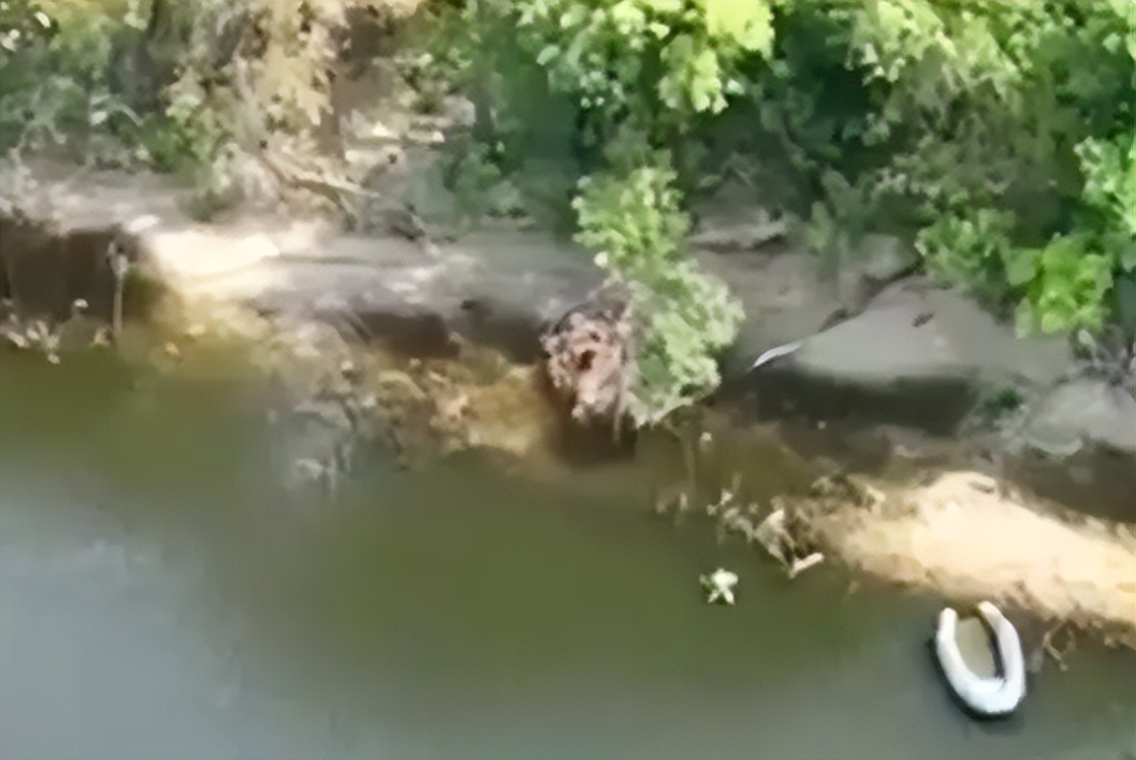 Floating corpses appeared by the river! As soon as the Ukrainian army ...