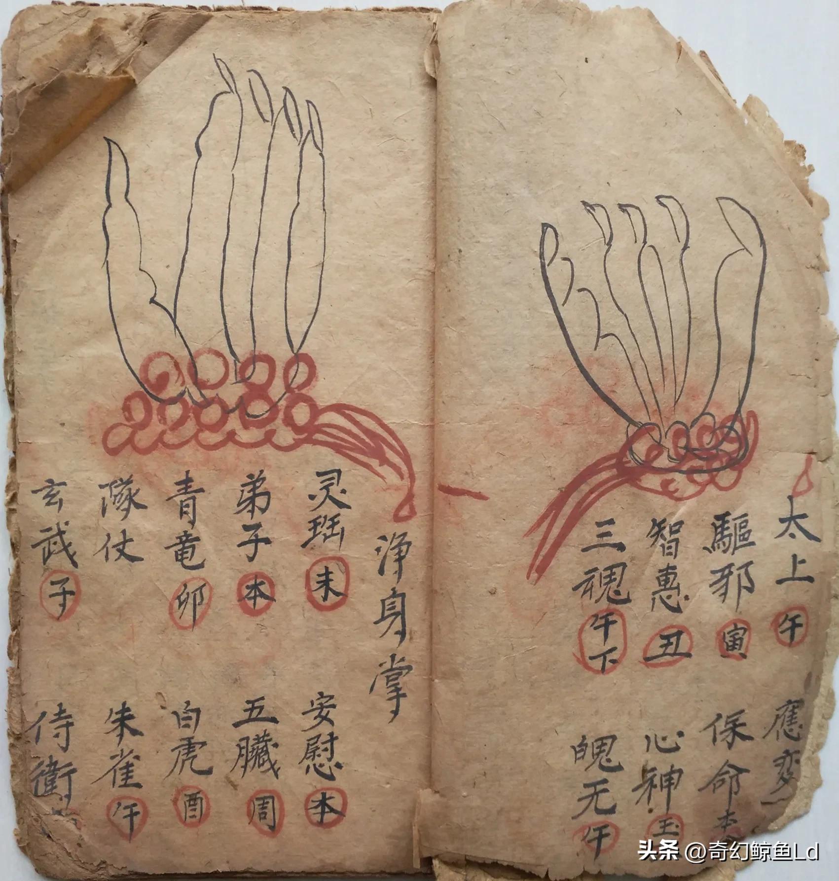 The Secret Map of Hand-copied Ancient Books in the Qing Dynasty - iNEWS
