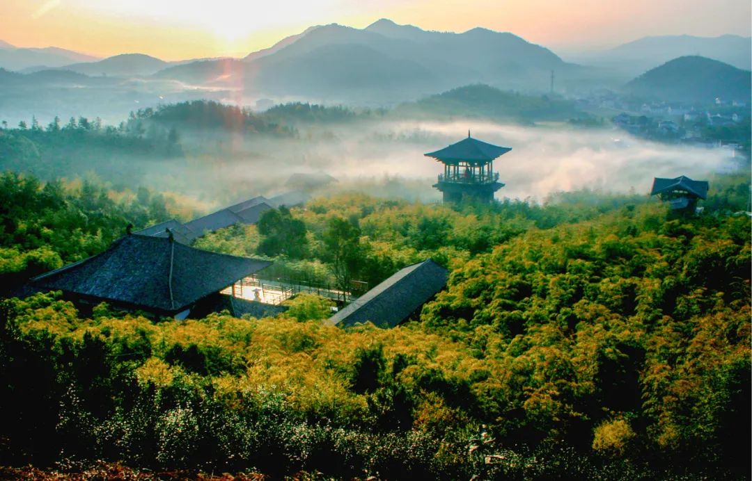 Tea comes out of Changxing: 1200 years of Gu Zhu's Zisun - iNEWS