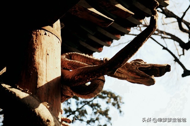 He is the first monarch in history to value talent. A society ruled by ...