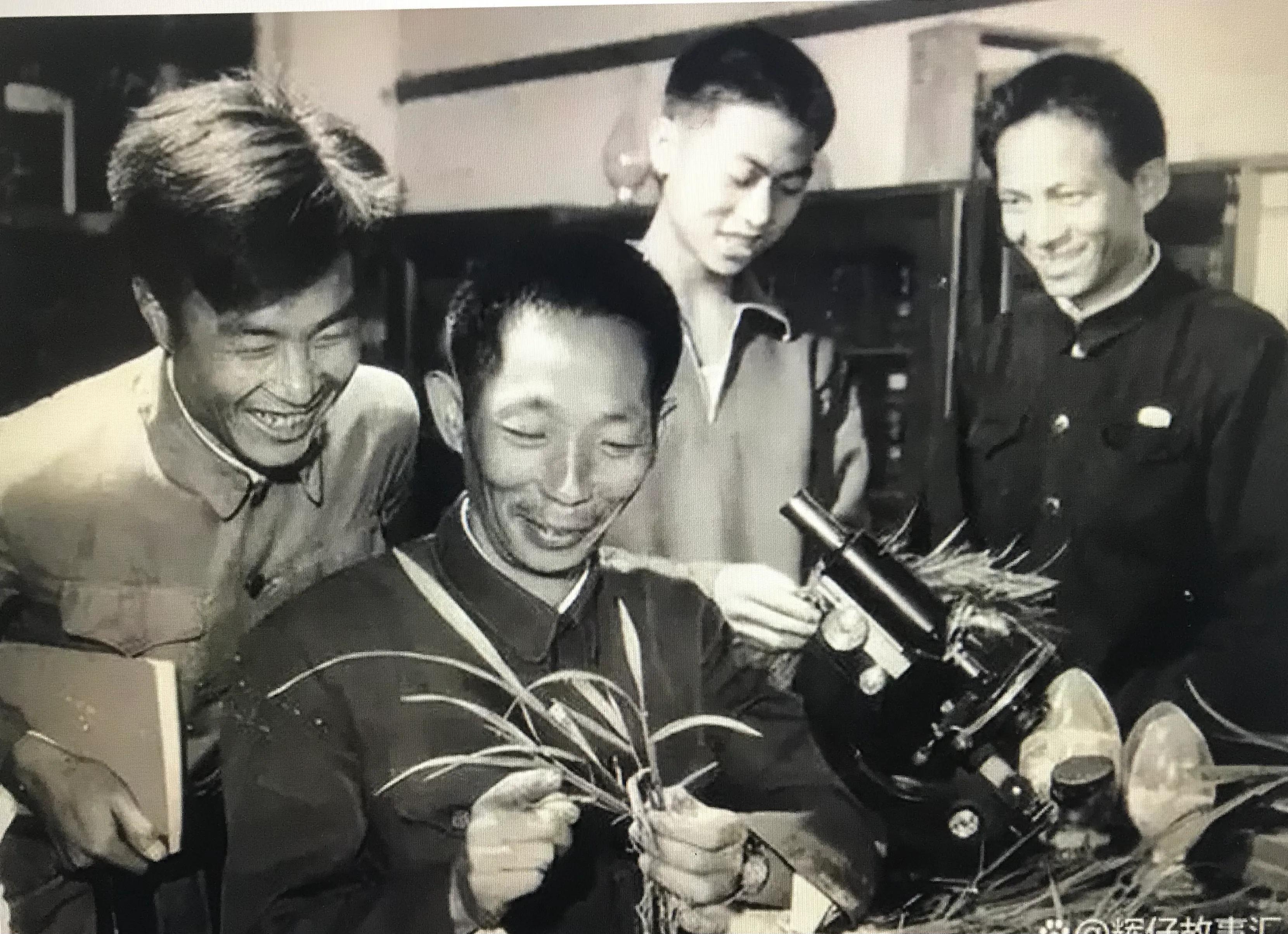 Most people don't know the secret of Academician Yuan Longping's ...