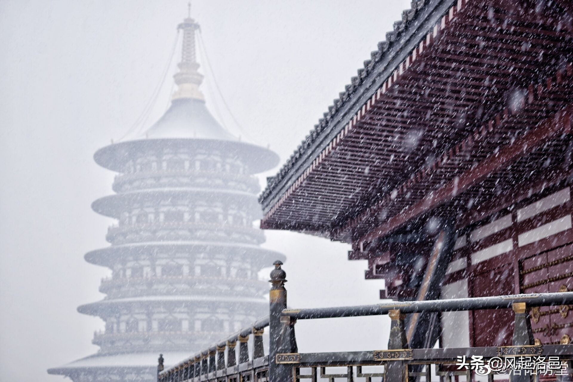 Wind, flowers, snow and moon fall in Luoyang, the ancient capital of 13 ...