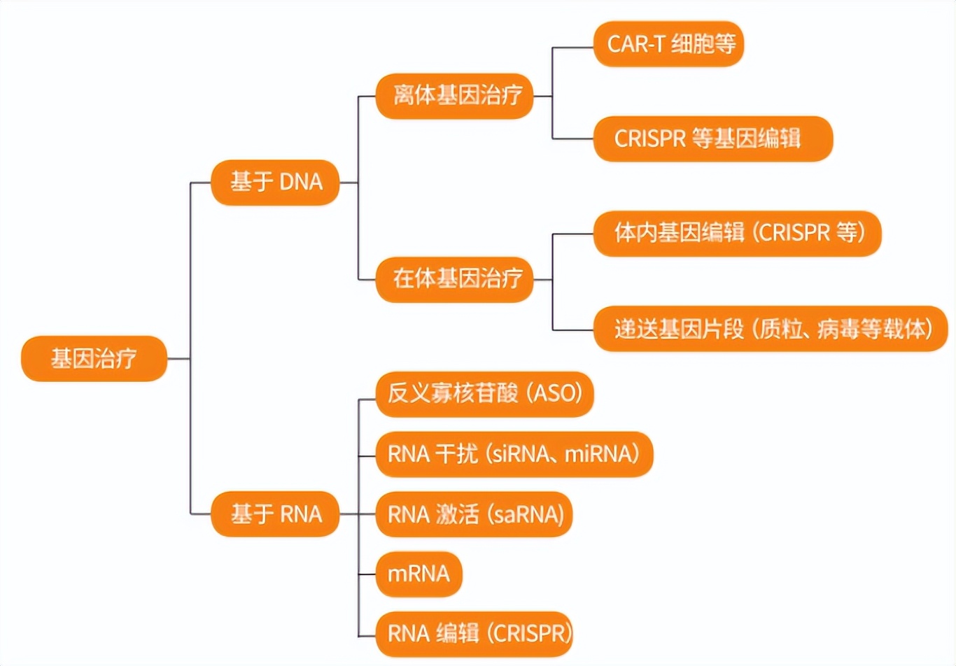 As of September 2022, 41 gene therapy drugs have been launched ...