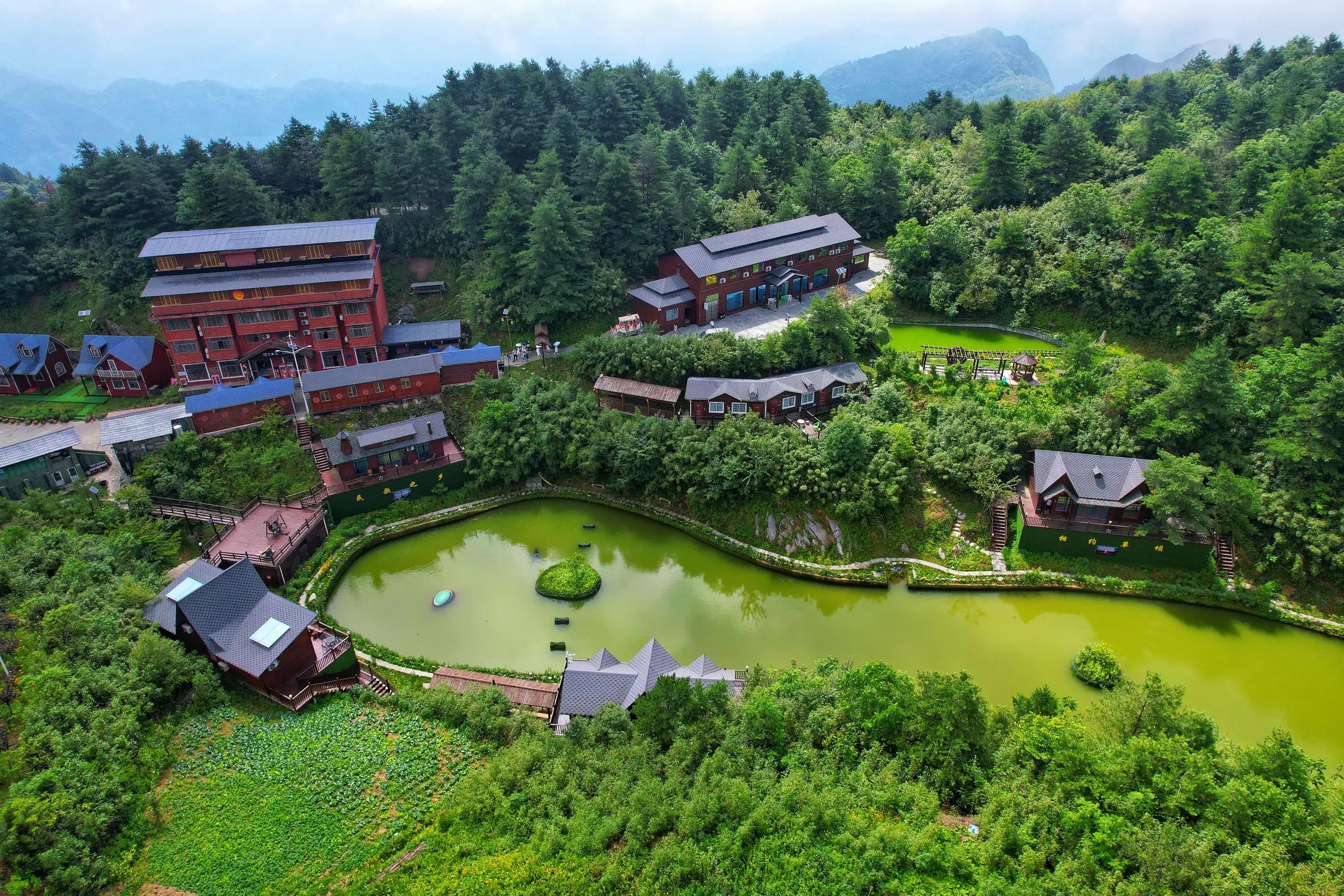 3.5 hours from Xi'an, encounter 22°C Caoba primitive bamboo forest ...