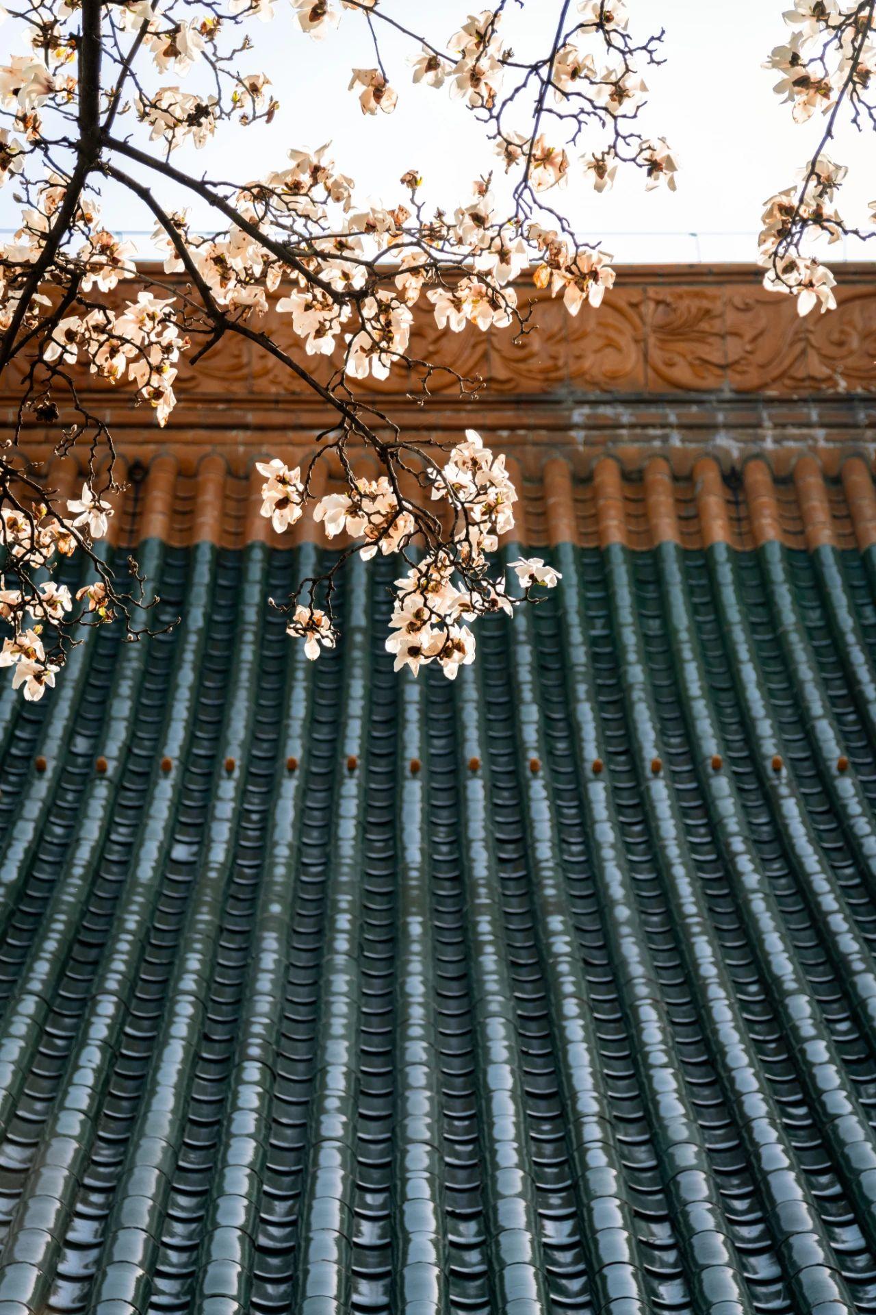 Photography skills: a blank composition method suitable for beginners ...