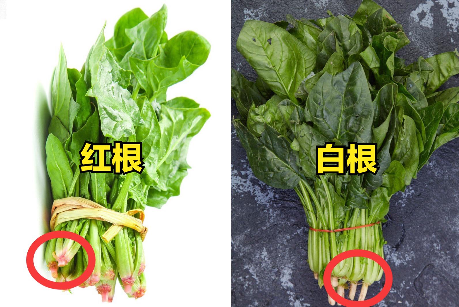 When buying spinach in spring, remember to distinguish between "red ...