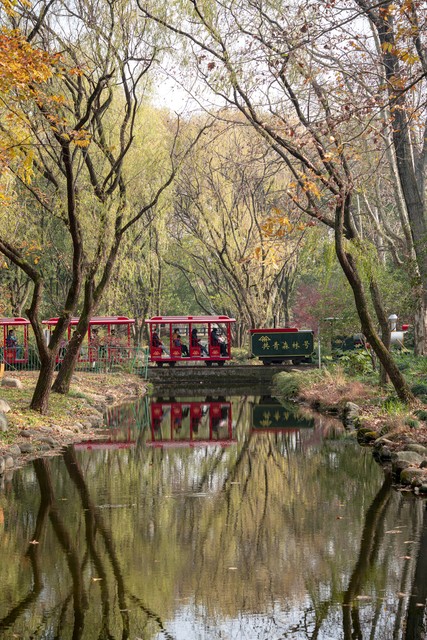 The Embrace of Nature: A Beautiful Tour of Gongqing Forest Park - iMedia
