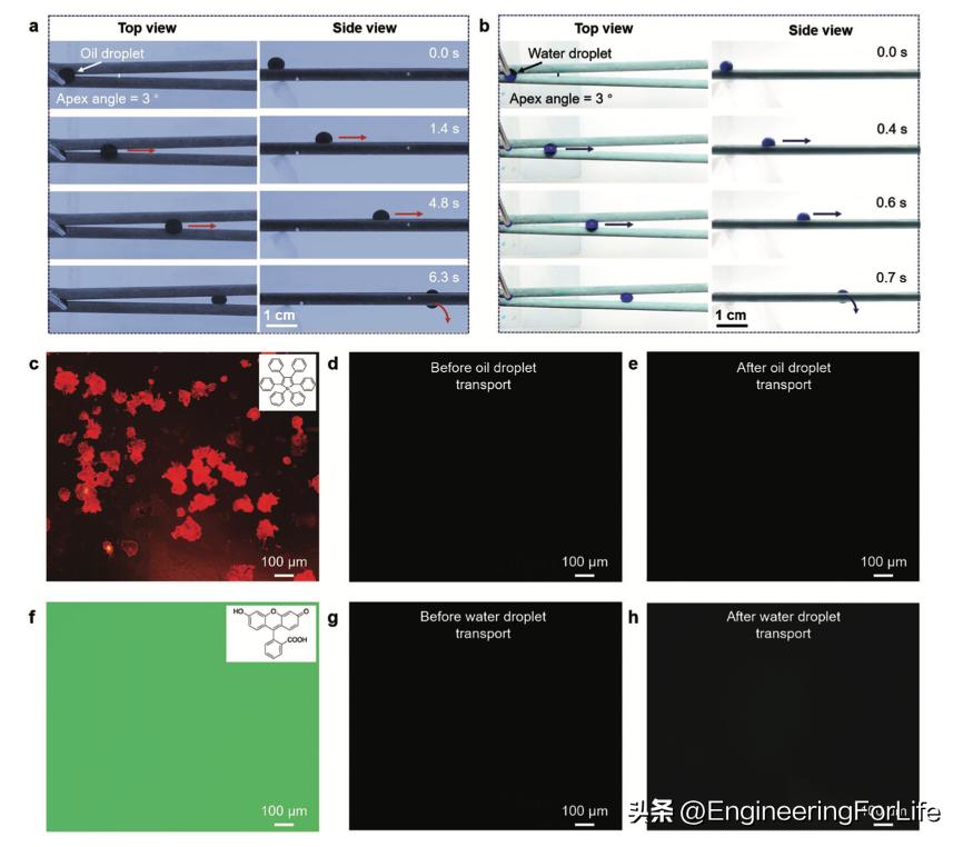 Multiple bionic structures! Super-wetting V-shaped track realizes ...