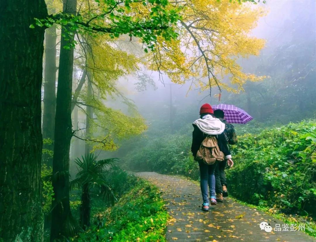 Bravely Appreciating Outstanding Poet Du Guangchen - iNEWS