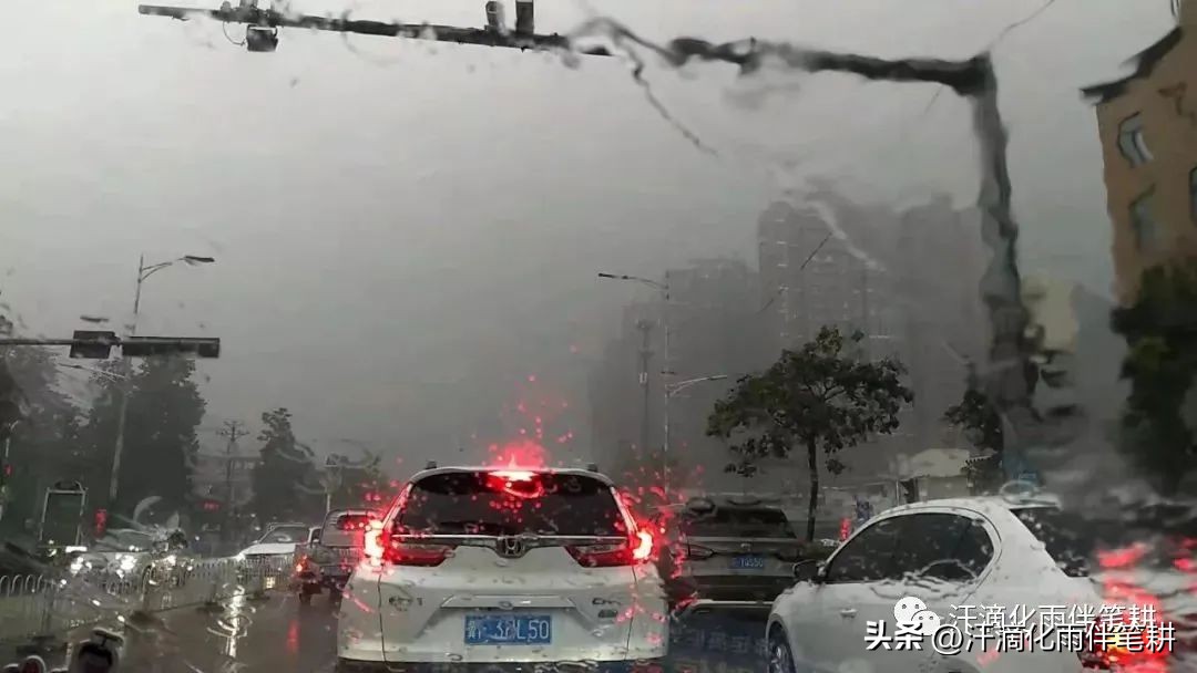 "Shaanxi Linwei Junfa" original // Zhongfu shower - iNEWS