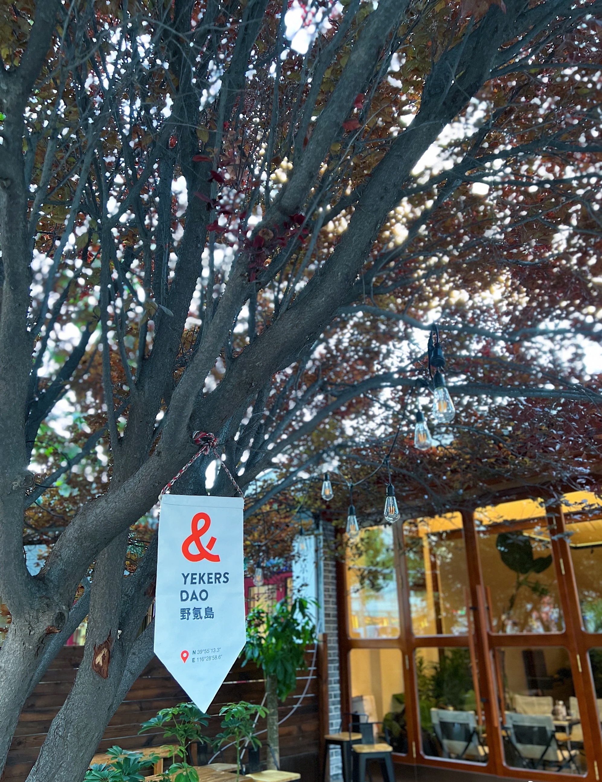 "Sexiest Huang Rong" Lin Yanrou posted a photo, showing off her plump ...