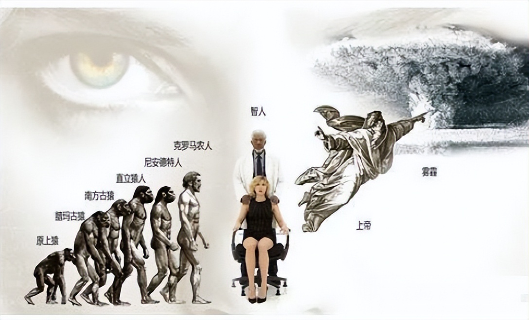 Why are humans at the top of the food chain? The theory of evolution ...