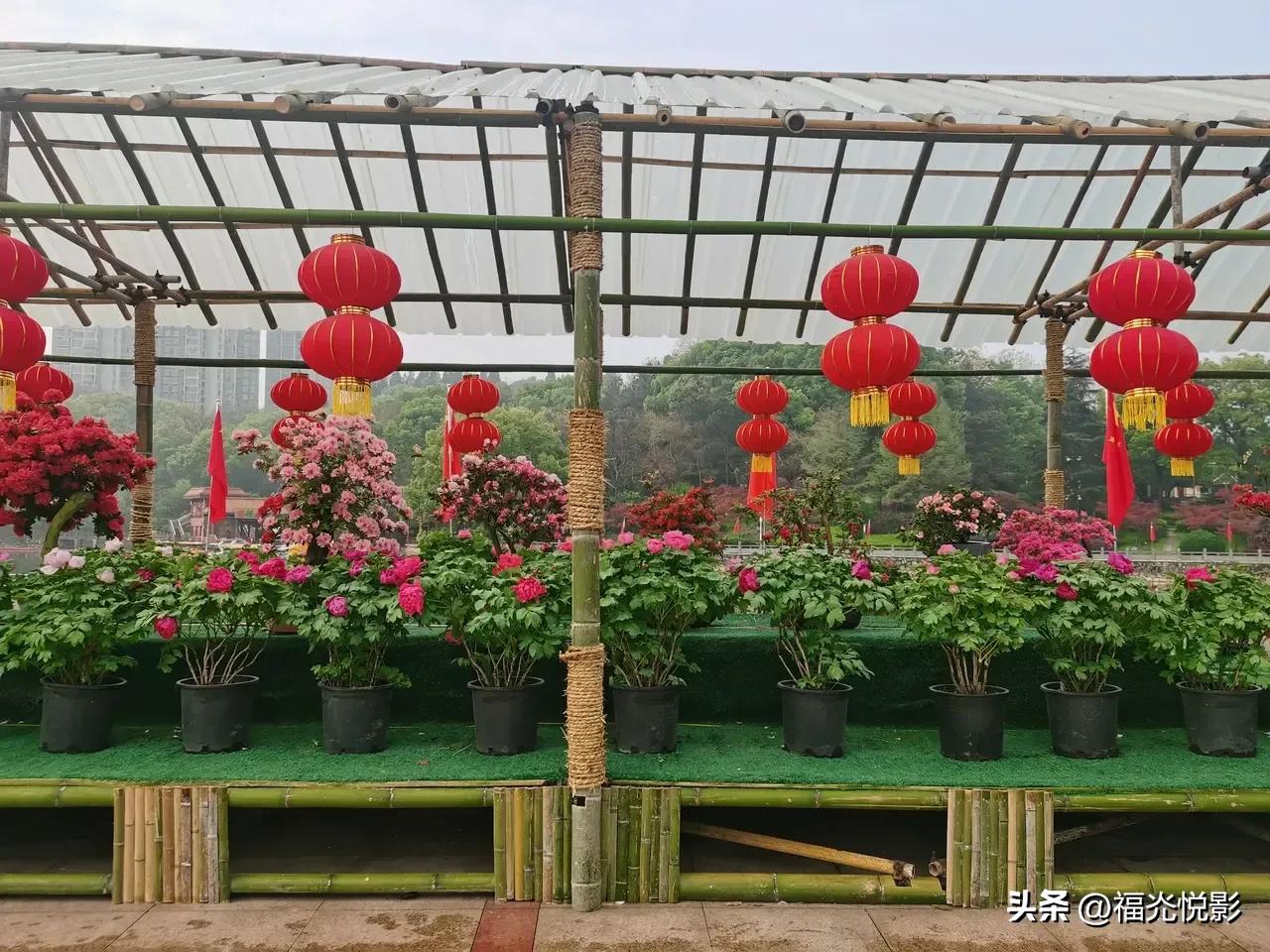 Shima Flower Show, a beautiful city - iNEWS