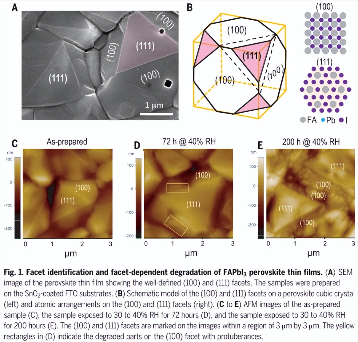 Revealing facet-dependent degradation and facet engineering of stable ...
