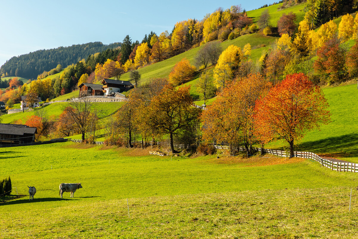 Equity transfer is uncertain, to prevent losses due to unsuccessful transactions, liquidated ...