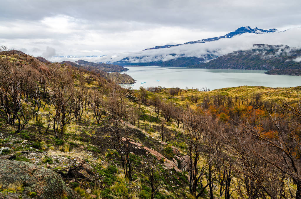 Chile: The longest and narrowest country in the world, the "skirt" of ...