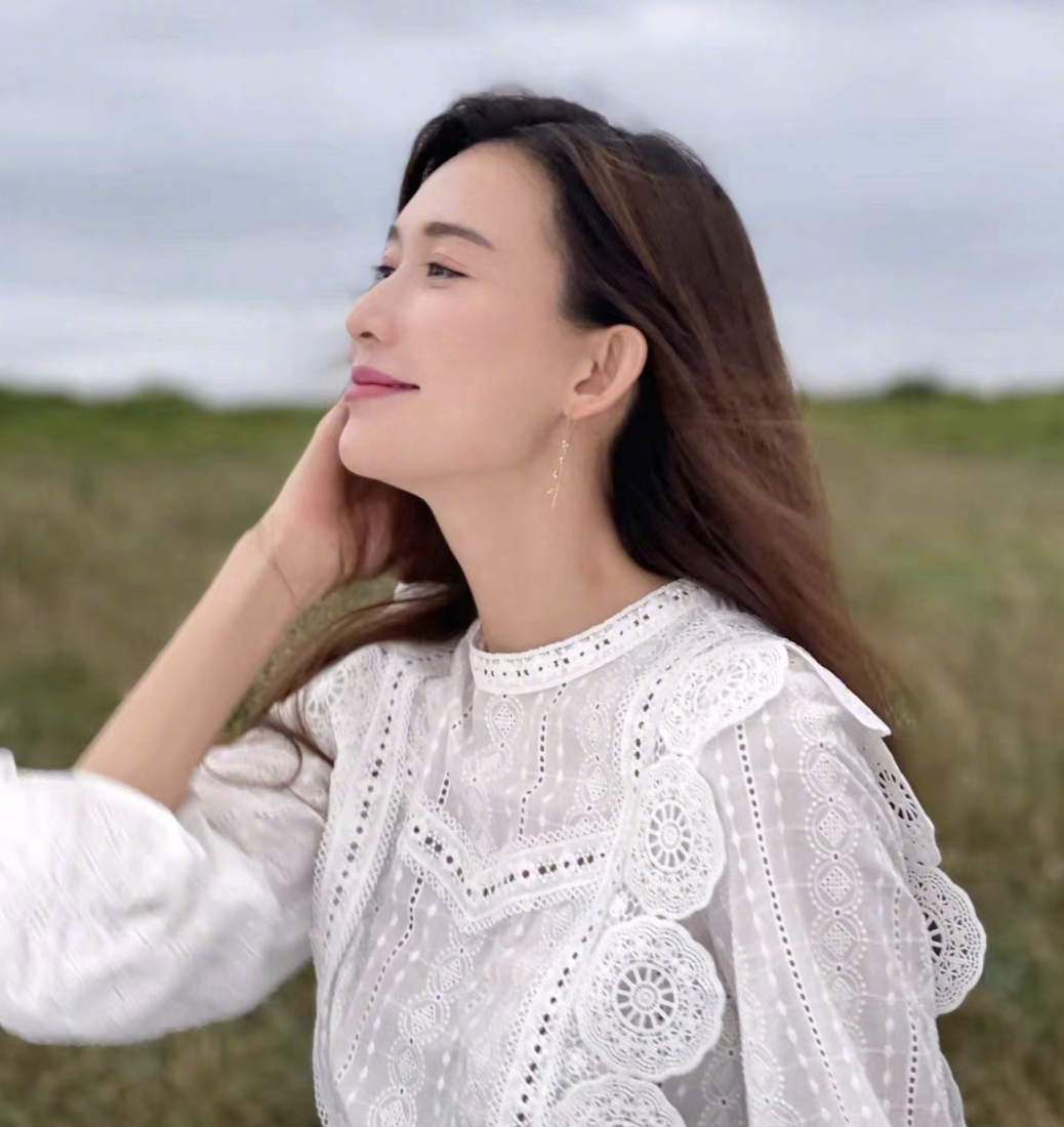 47-year-old Lin Chiling made a comeback to earn milk powder money for ...