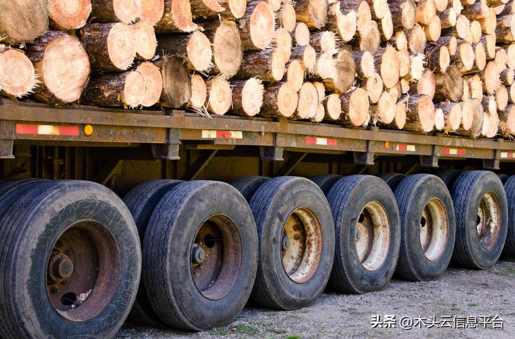 Russian timber production is recovering, but shipments are down - iNEWS