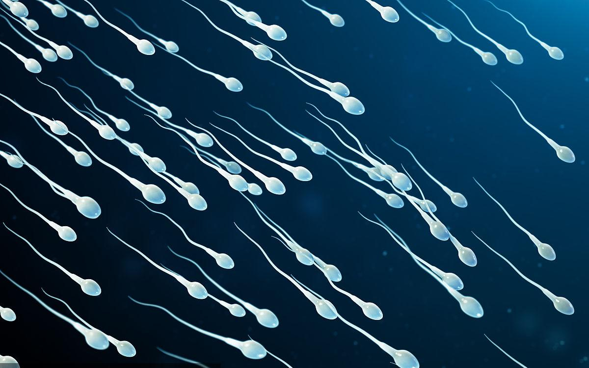 What does healthy semen look like?How to improve sperm quality? - iNEWS