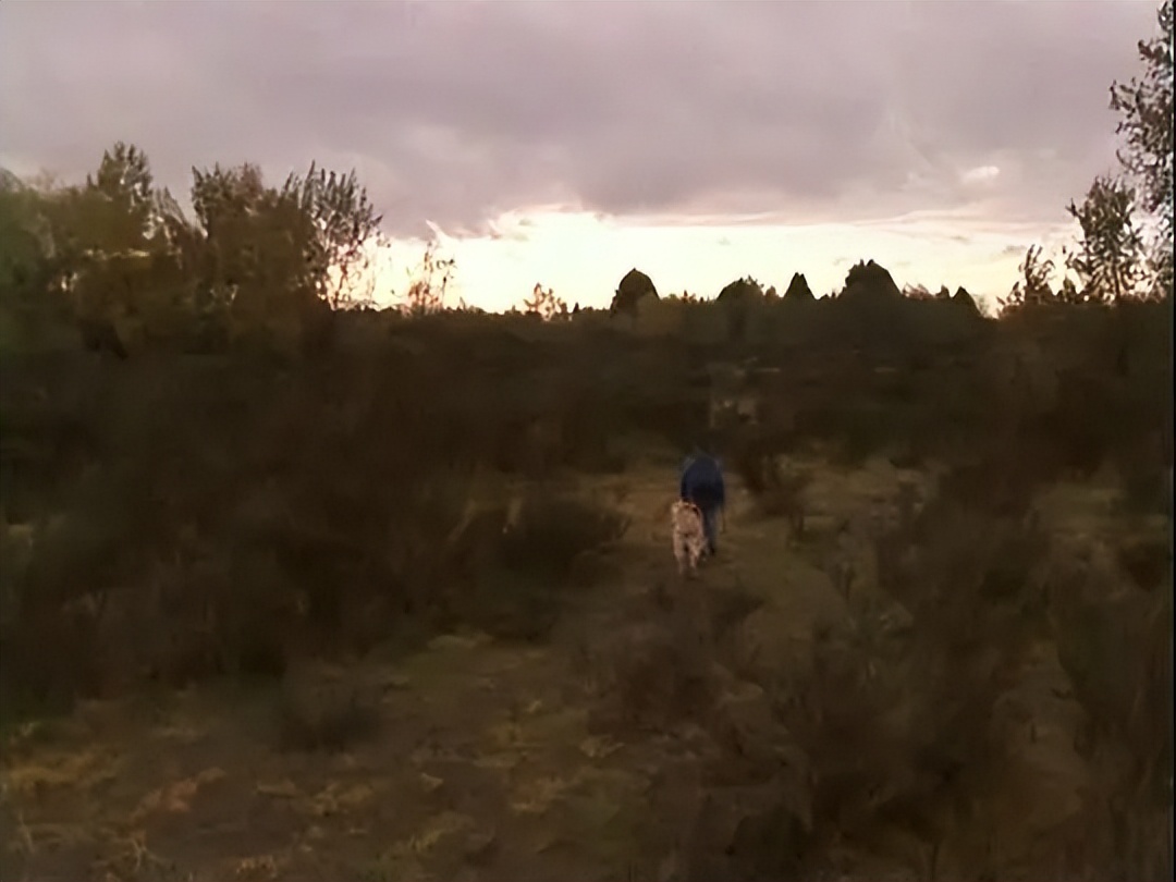 Michael Jeter's true performance, a relationship between humans and ...