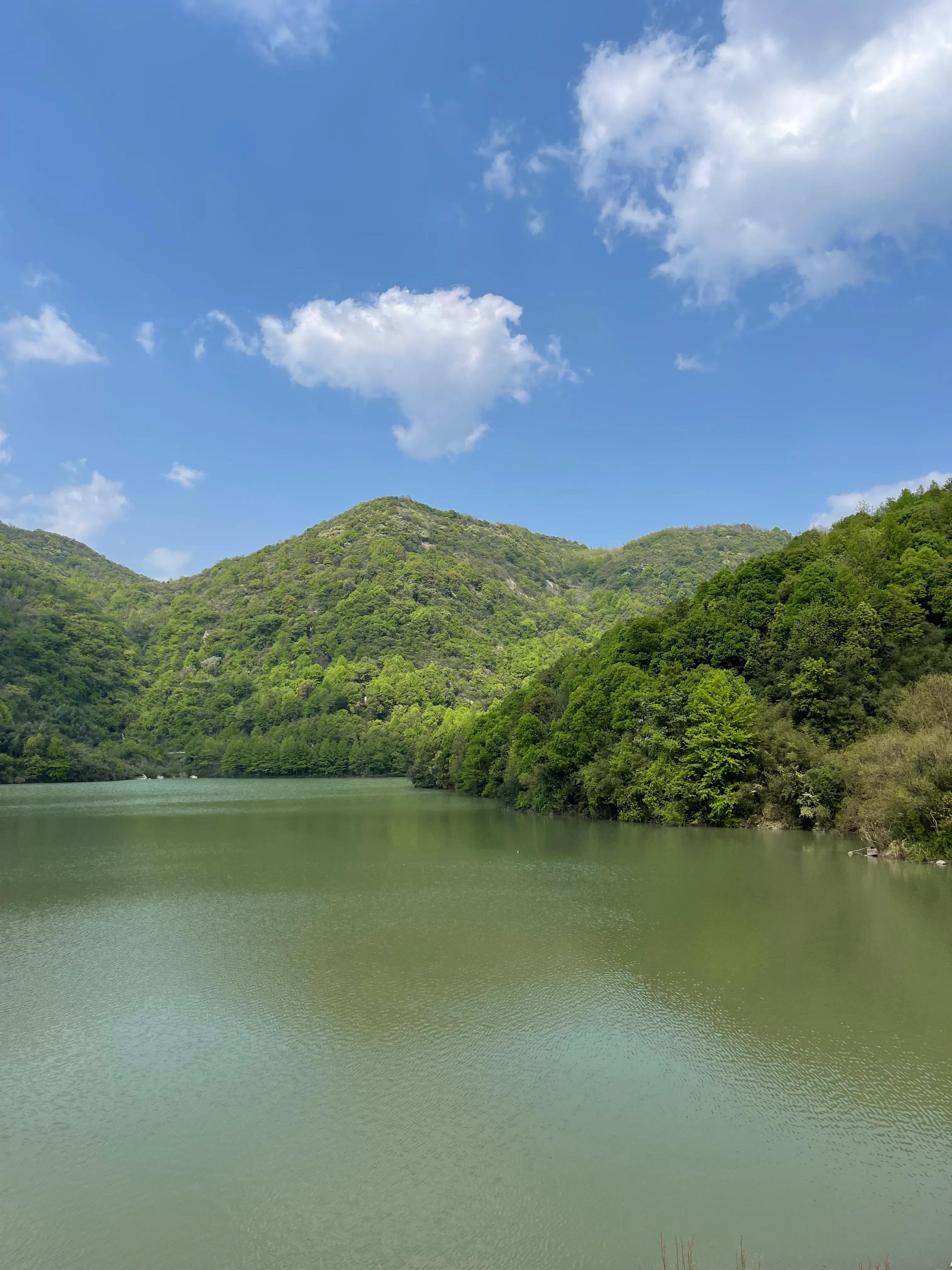 May 1st not far, Changsha Wangcheng Little Lijiang, there is a tree at ...