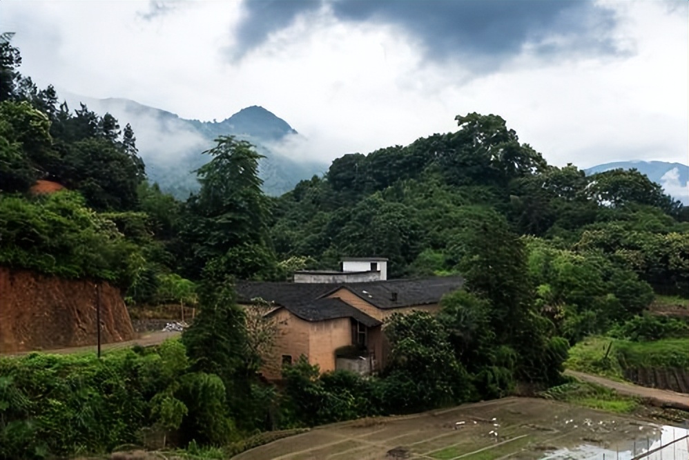Li Yali, head of the "sex tiger": raising 20 lovers, in order to ...