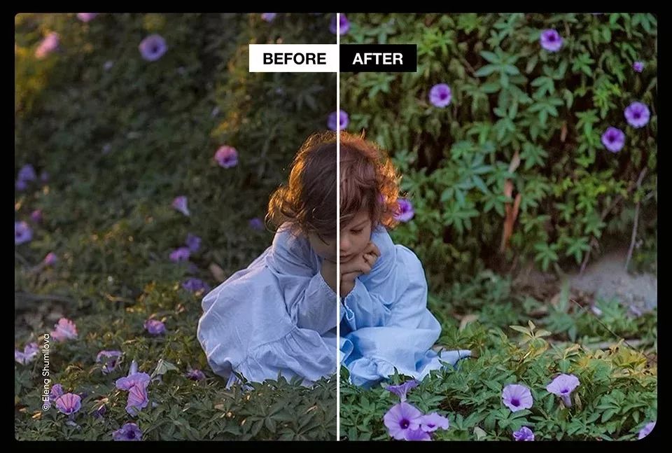 Artificial intelligence AI image processing optimization software ...