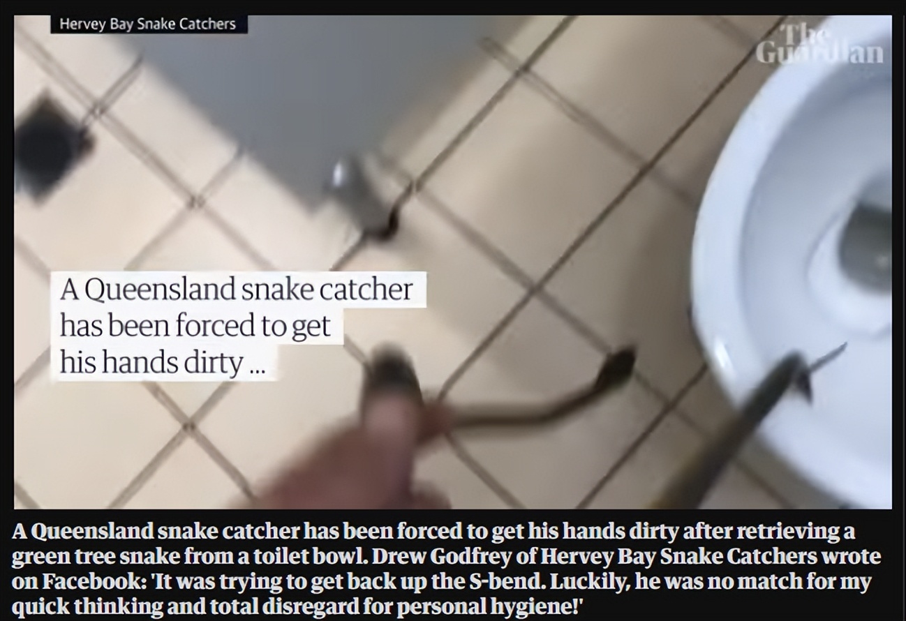 The most feared thing finally happened!Australian worker squatting on ...