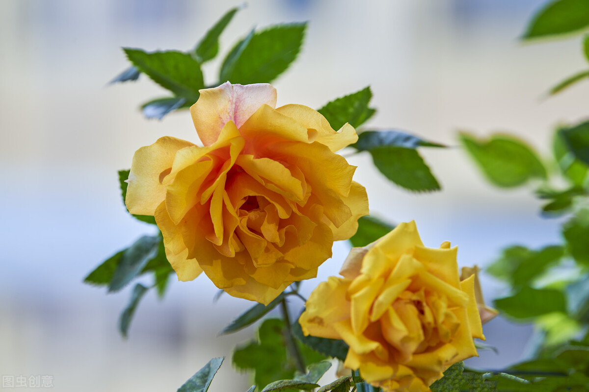 A man determines from the bottom of his heart what a person looks like ...