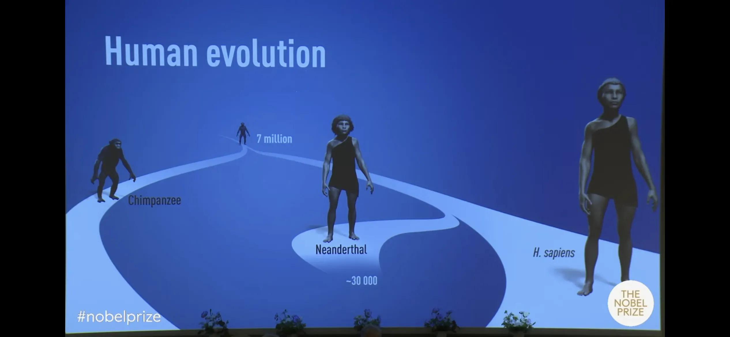 Nobel Prize Season 2022: Svante Pääbo wins Nobel Prize in Medicine for discoveries about human ...