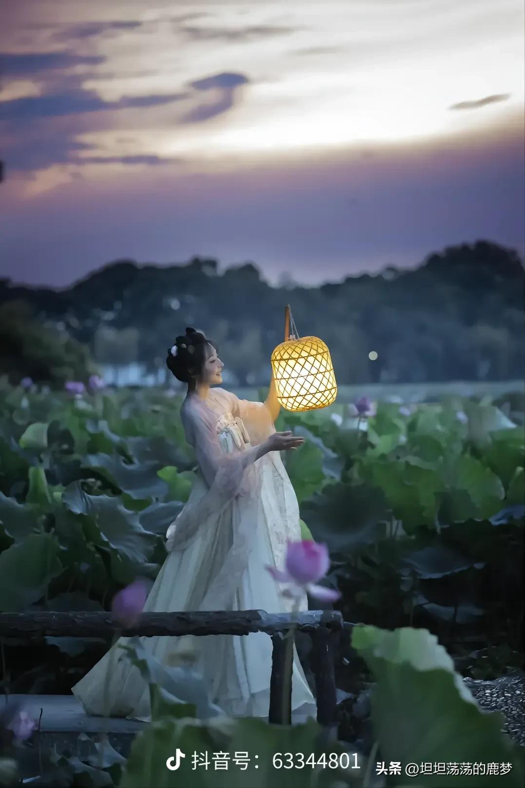 cute lotus photo - iNEWS