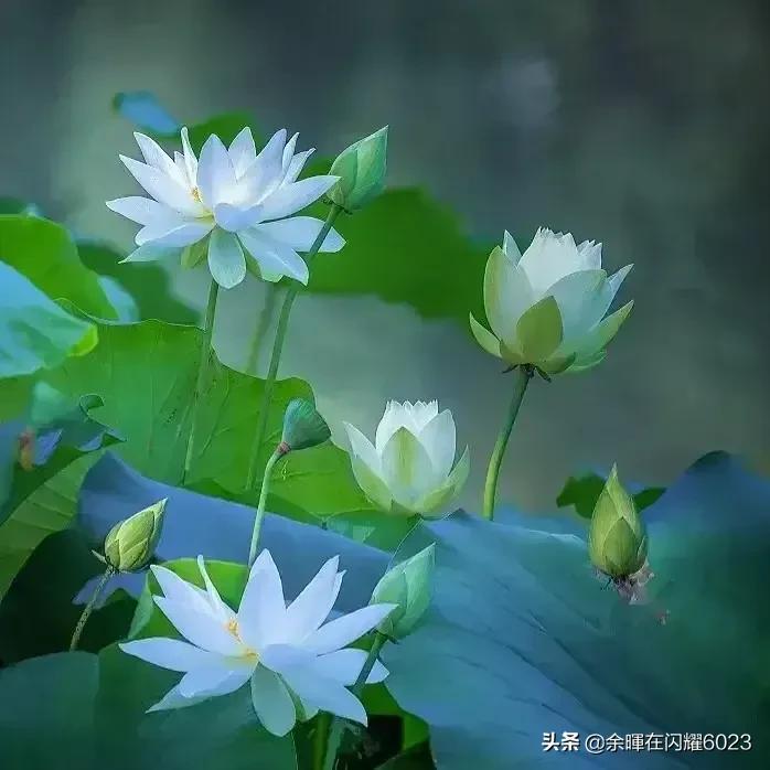 Can you fall in love with someone with facial spasms? Phantom runs away ...