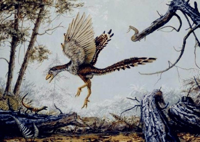 Historical conundrum: Which came first, the chicken or the egg?Finally ...