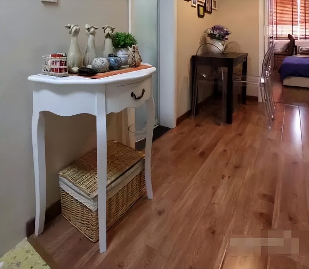 The 33 square meter apartment is decorated into independent rooms ...