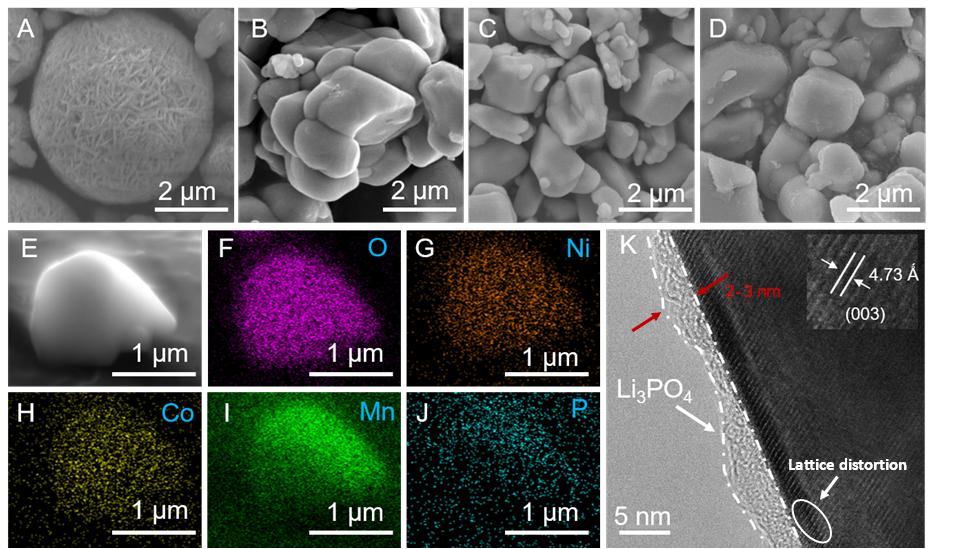 An in situ formed inorganic conductive network enhances the cycle and ...