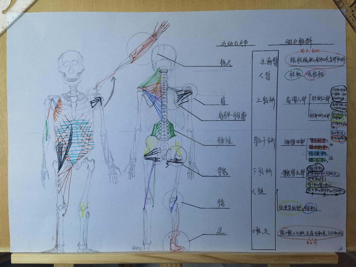 Getting Started - Training Divide - iMedia