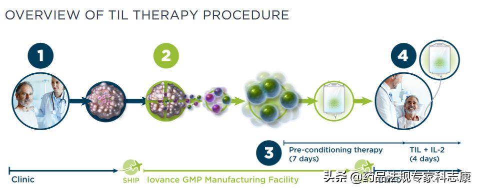 Overview of TIL Cell Therapy - iMedia