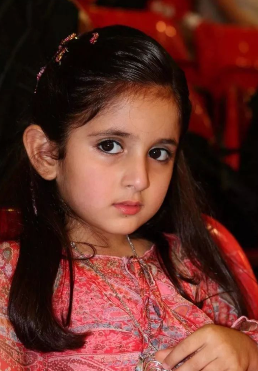 Dubai's "most beautiful princess" Salama: Living extravagantly on ...