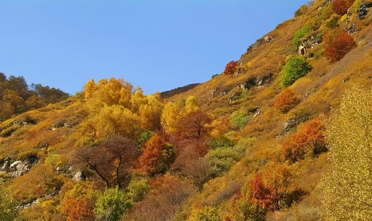 These are the seven unique moods of autumn in Shanxi, each of which is ...