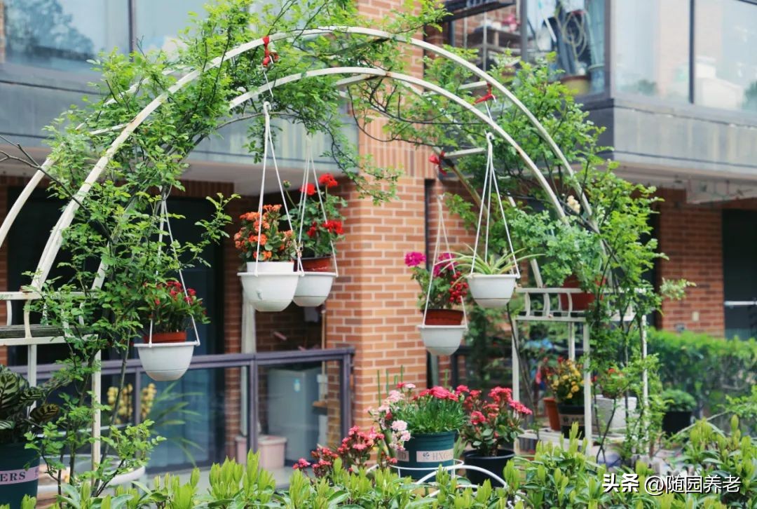 [Suiyuan Jiashu] How to spend the beautiful four seasons of an 86-year ...