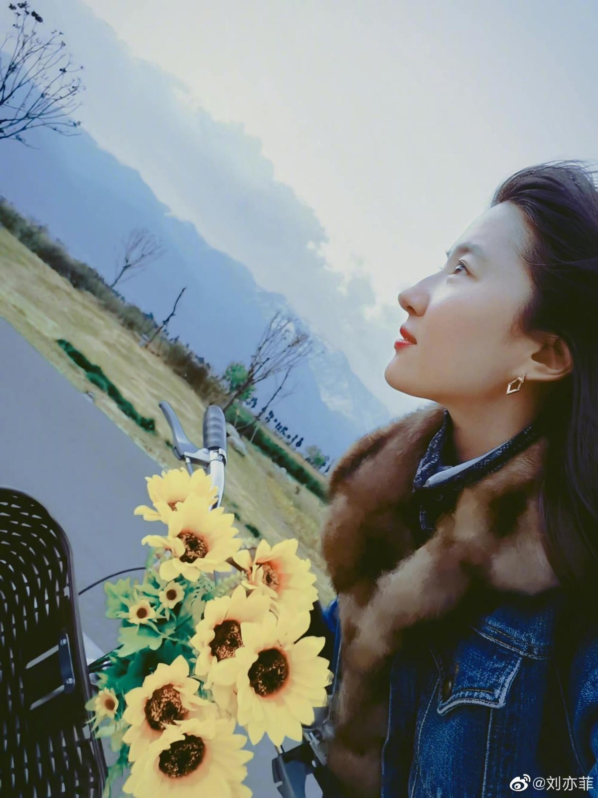 It is also a rape flower, why is Liu Yifei not as beautiful as Yu ...