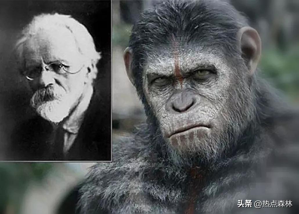 Is Japan's "human-animal embryo hybridization experiment" an innovation ...