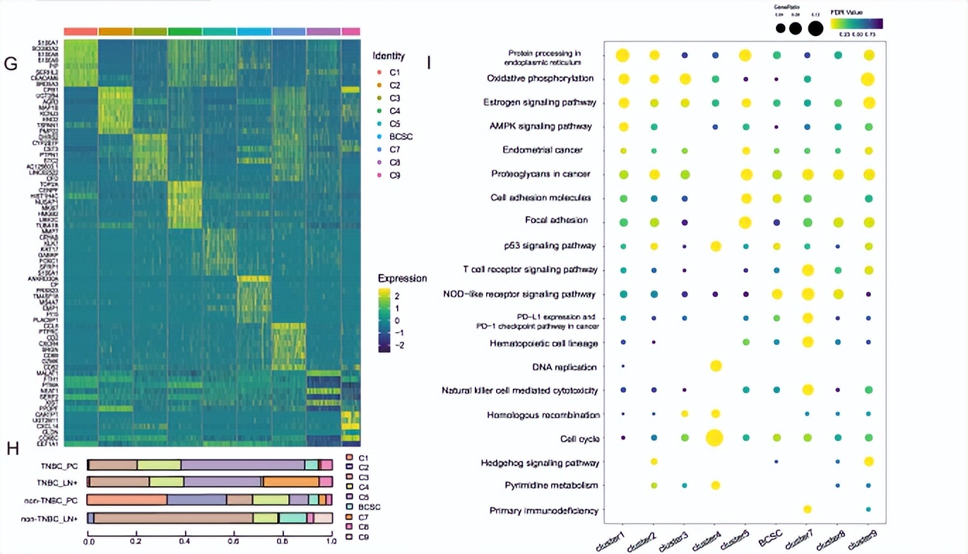 Single-cell sequencing reveals cellular heterogeneity of lymph node ...