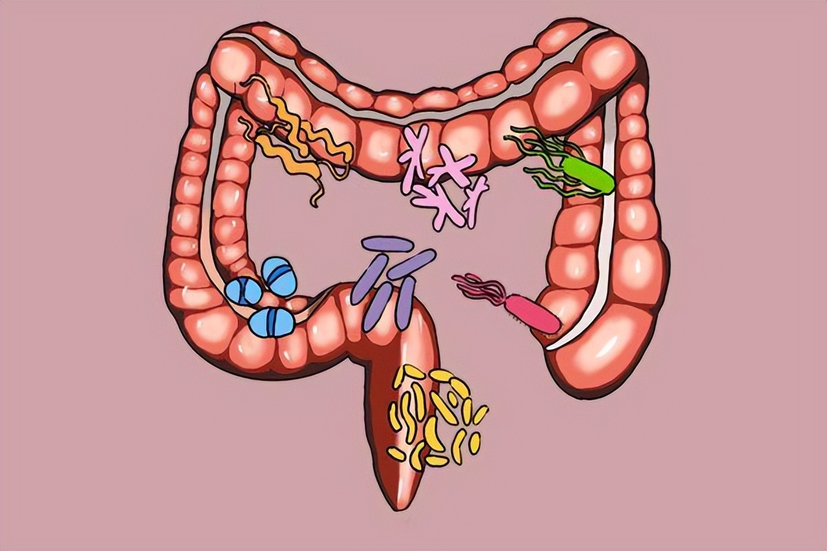 Is frequent farting really a "warning signal" of intestinal disease ...