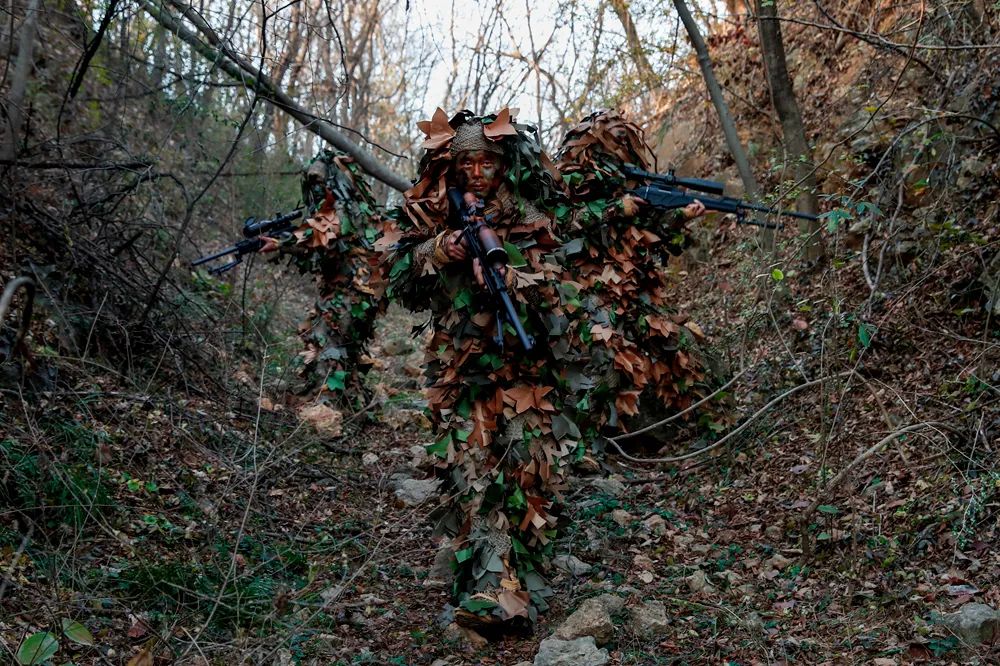 Walk into the depths of the dense forest and directly hit the "ghost ...