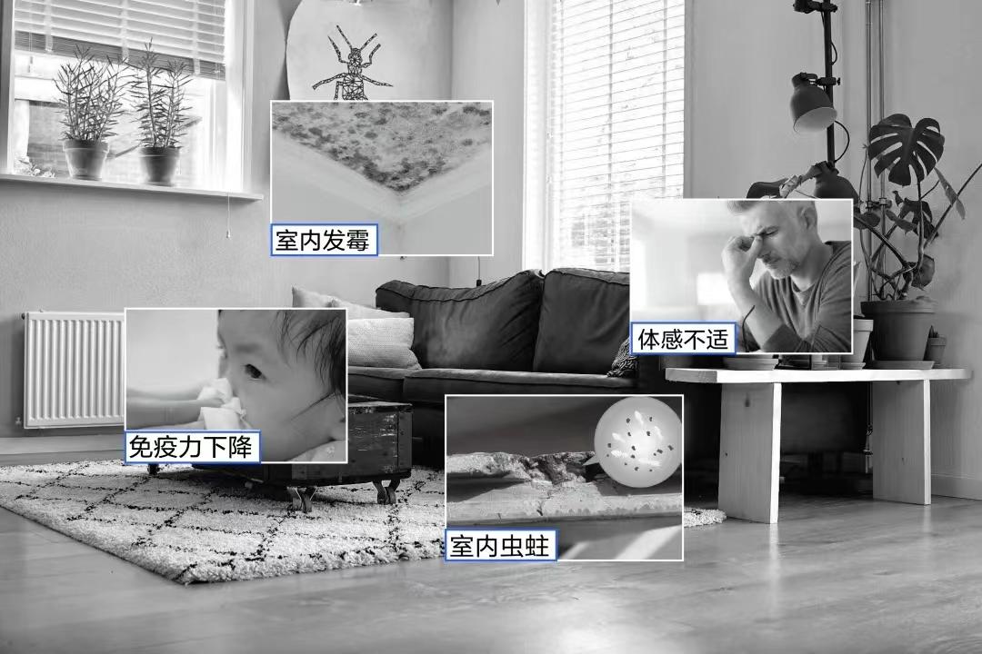 Constant temperature and humidity constant oxygen five constant system ...