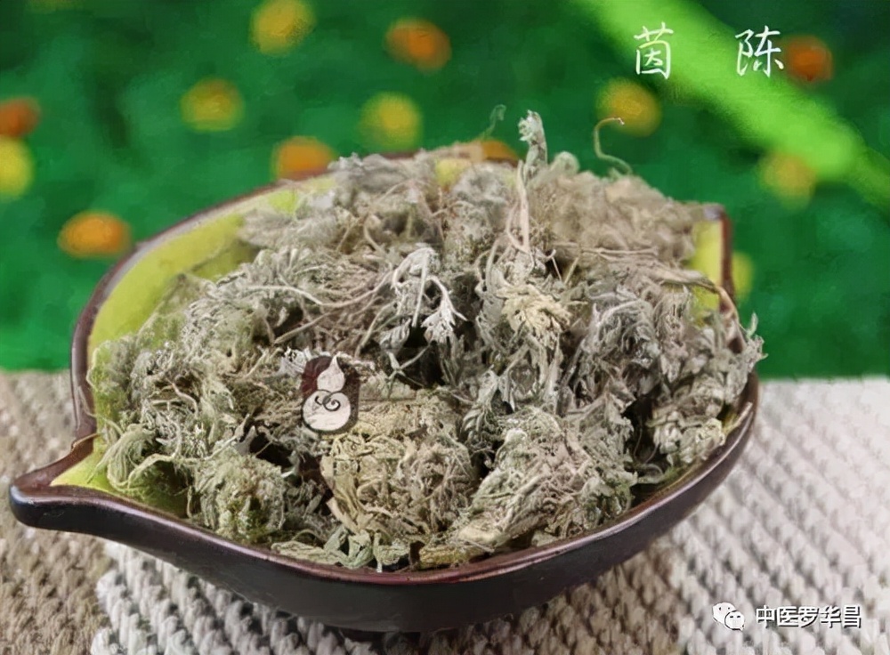 Yin Chen, damp-heat, is the king drug for the treatment of yellow ...