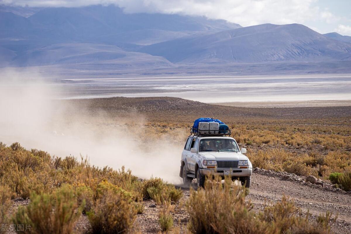 Self-driving tour, what topics are men interested in? - iMedia